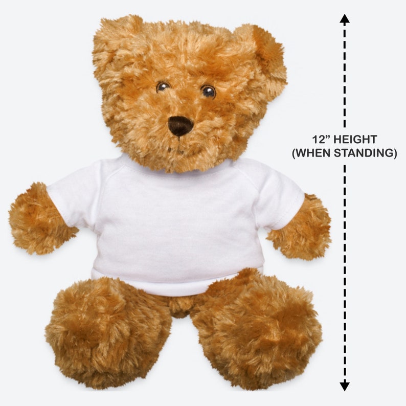 Sending Hugs Teddy in A Tshirt Personalized Bear Gift, Graduation Bear ...