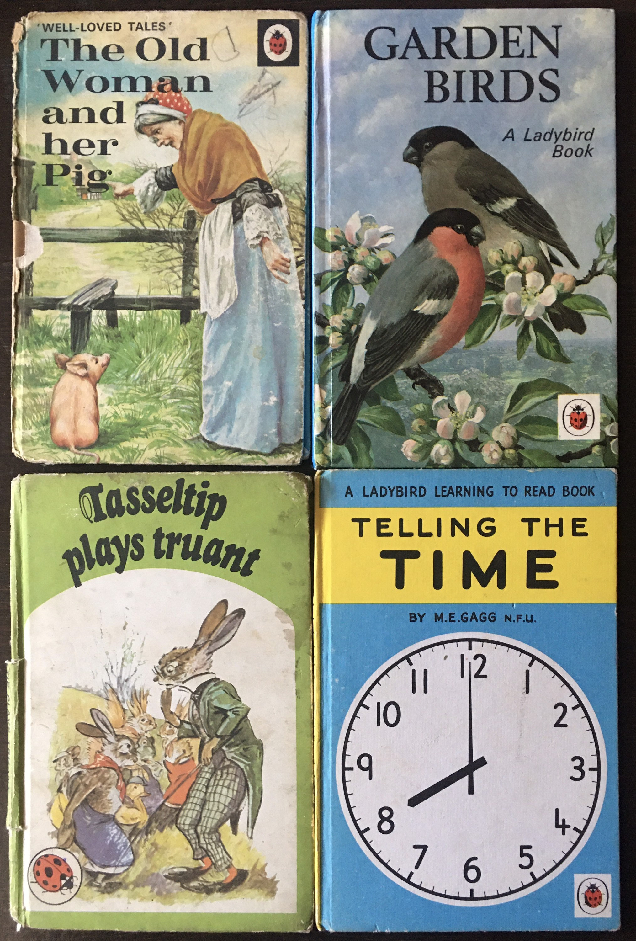 Ladybird Book Covers. Vintage Childrens Books. Empty Books - Etsy