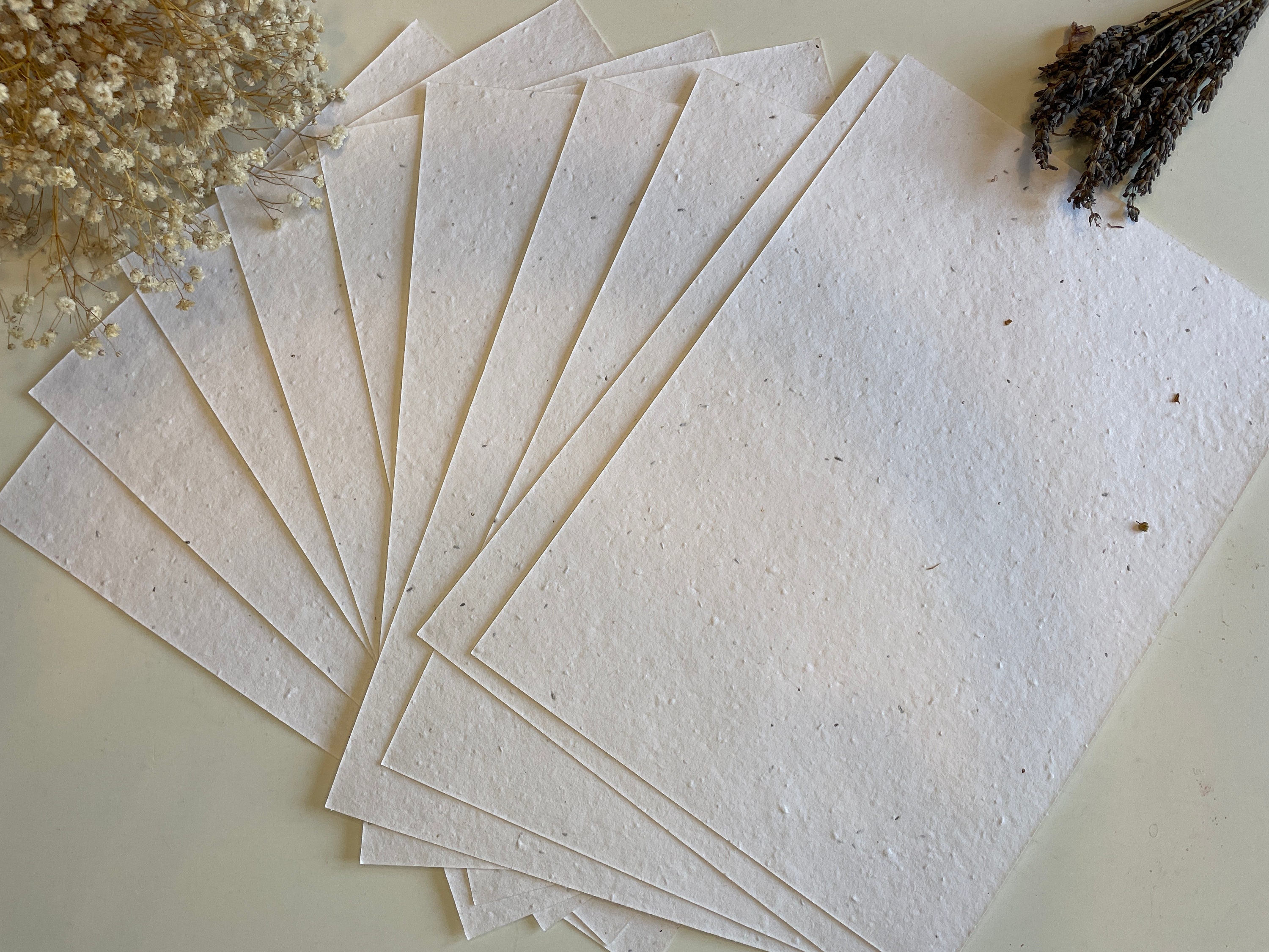 10 100 X A4 And A5 Plantable Seed Paper Wildflower Card Plain Etsy Uk
