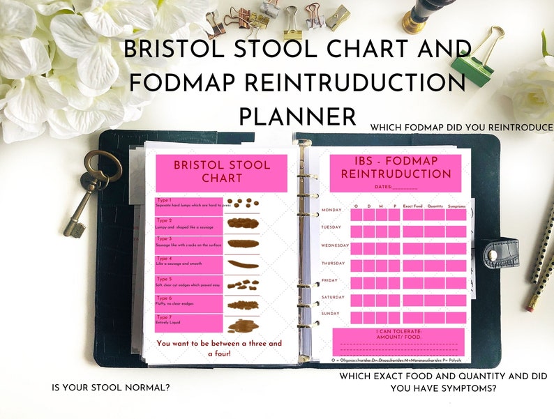IBS Tracker Bundle PDF A4 A5 A6 Letter Size or Template for - Etsy ...