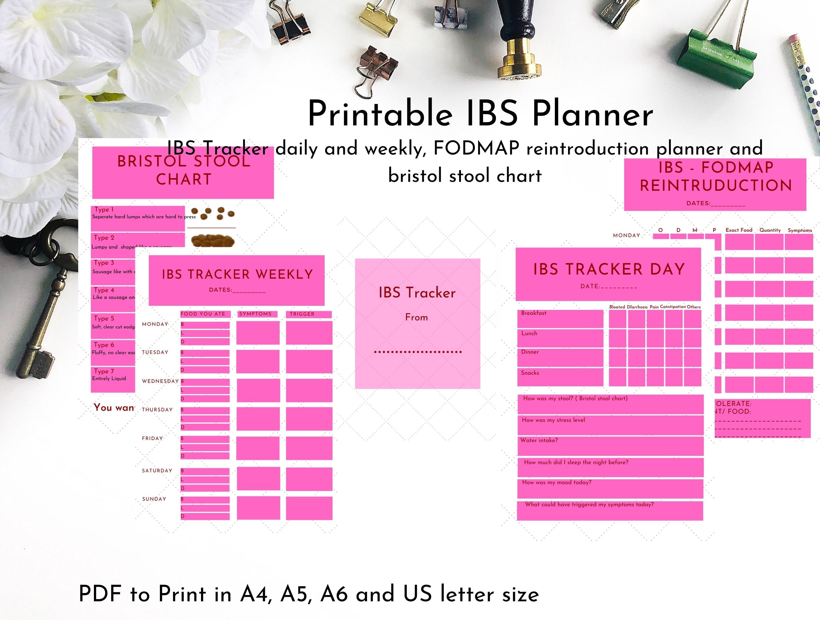IBS Tracker Bundle PDF A4, A5, A6, Letter Size or Template for Ipad ...