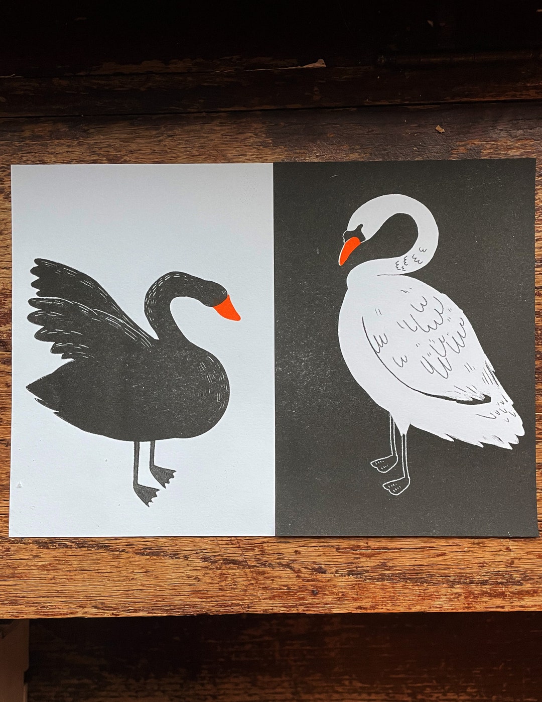 Two Sides of Swans Riso Print - Etsy