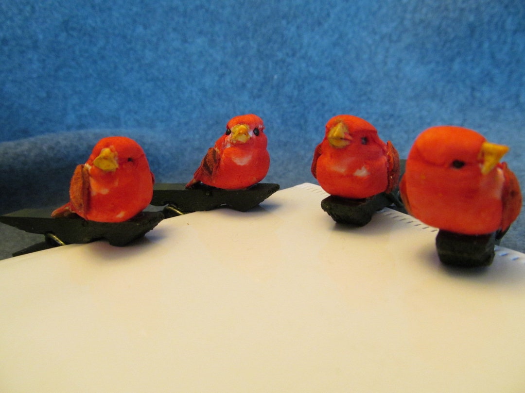 Small Green Pinch Clothes Pins With Tiny Red Cardinals, Home and Living ...