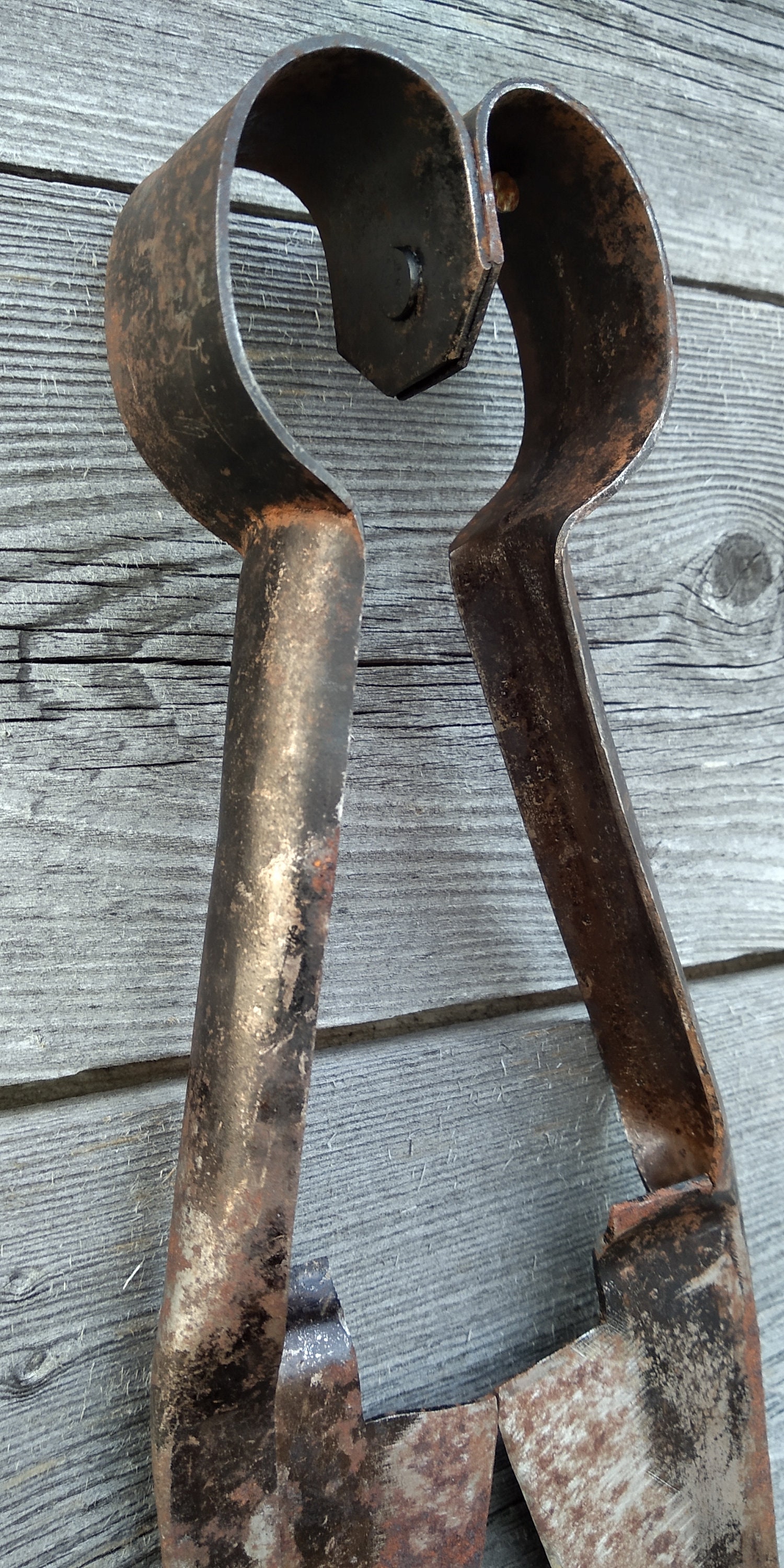 Vintage Sheep Shears Old Metal Scissors Rusty Tools Antique | Etsy