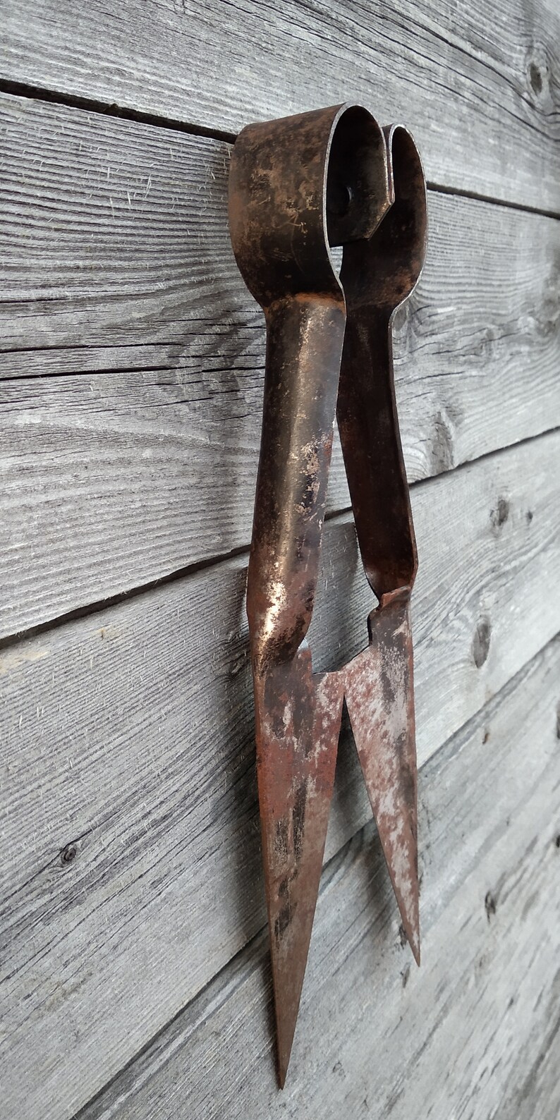 Vintage Sheep Shears Old Metal Scissors Rusty Tools Antique - Etsy