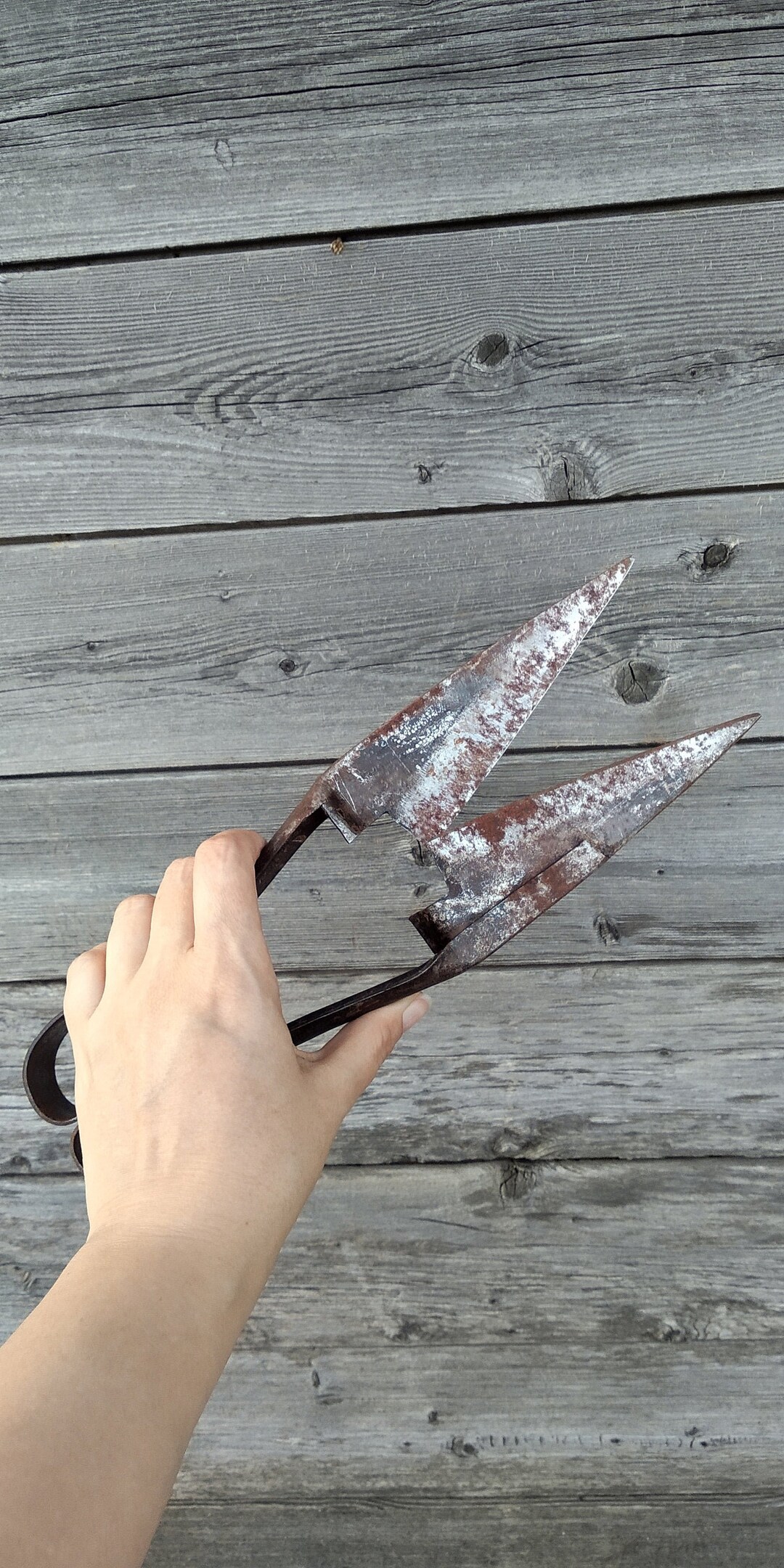 Vintage Sheep Shears, Old Metal Scissors, Rusty Tools, Antique Scissors ...