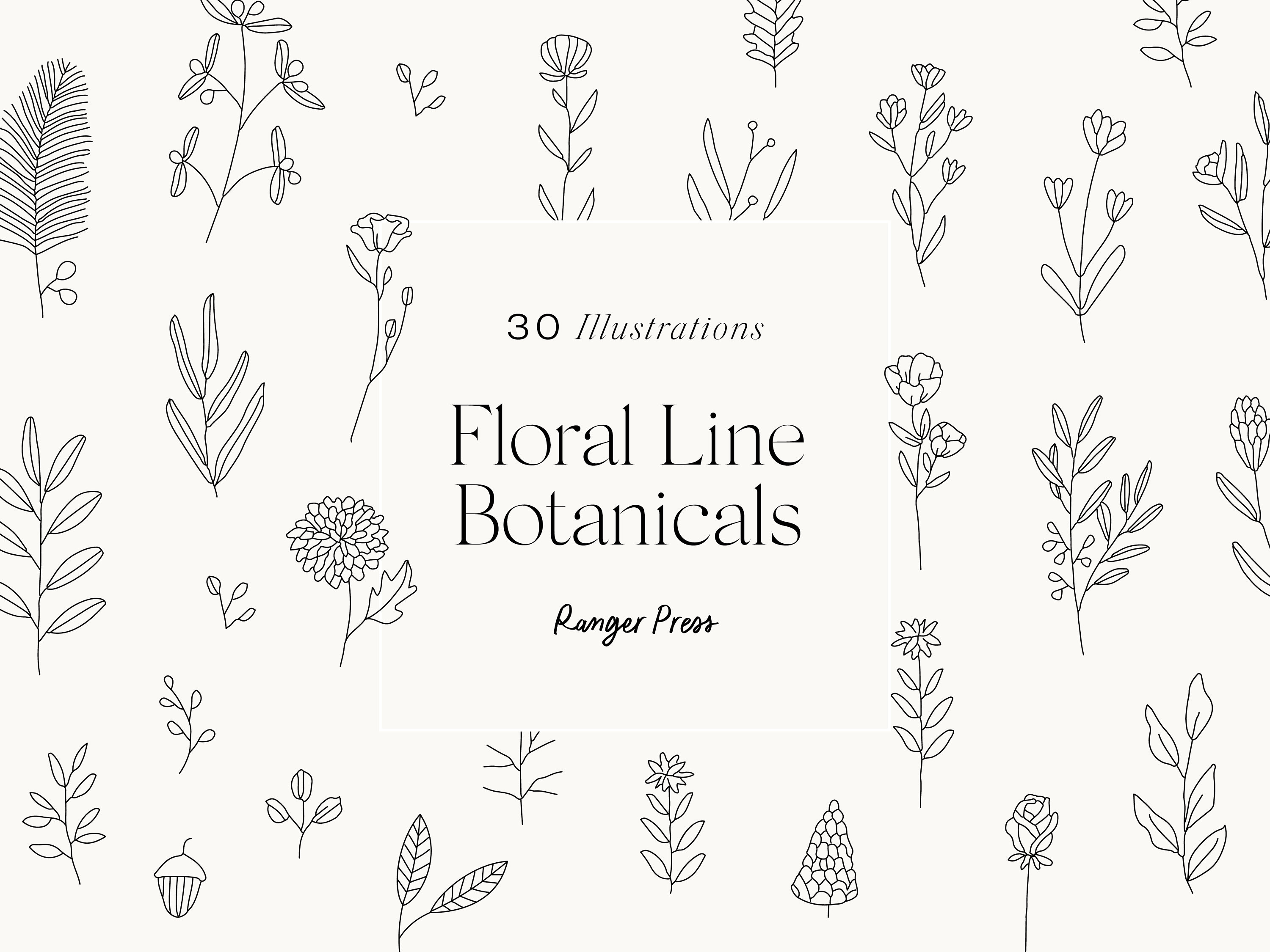 Botanical Clipart Hand Drawn Floral Leaves Leaf Flowers Branch - Etsy