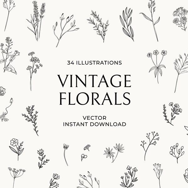 Botanical Clip Art - Etsy