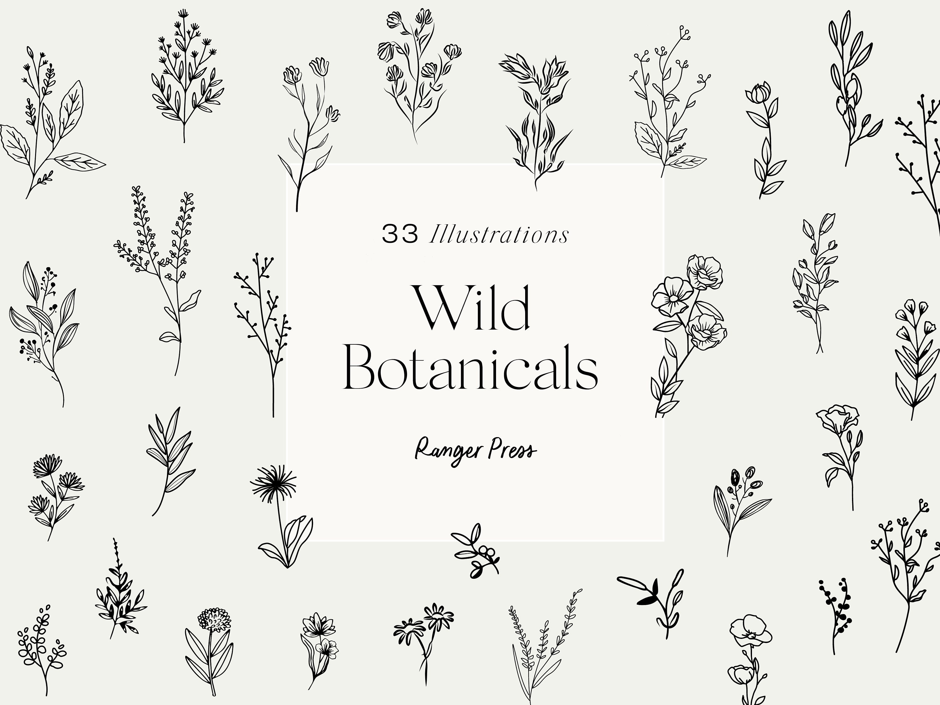 Botanical Clipart Hand Drawn Floral Leaves Leaf Flowers Branch - Etsy