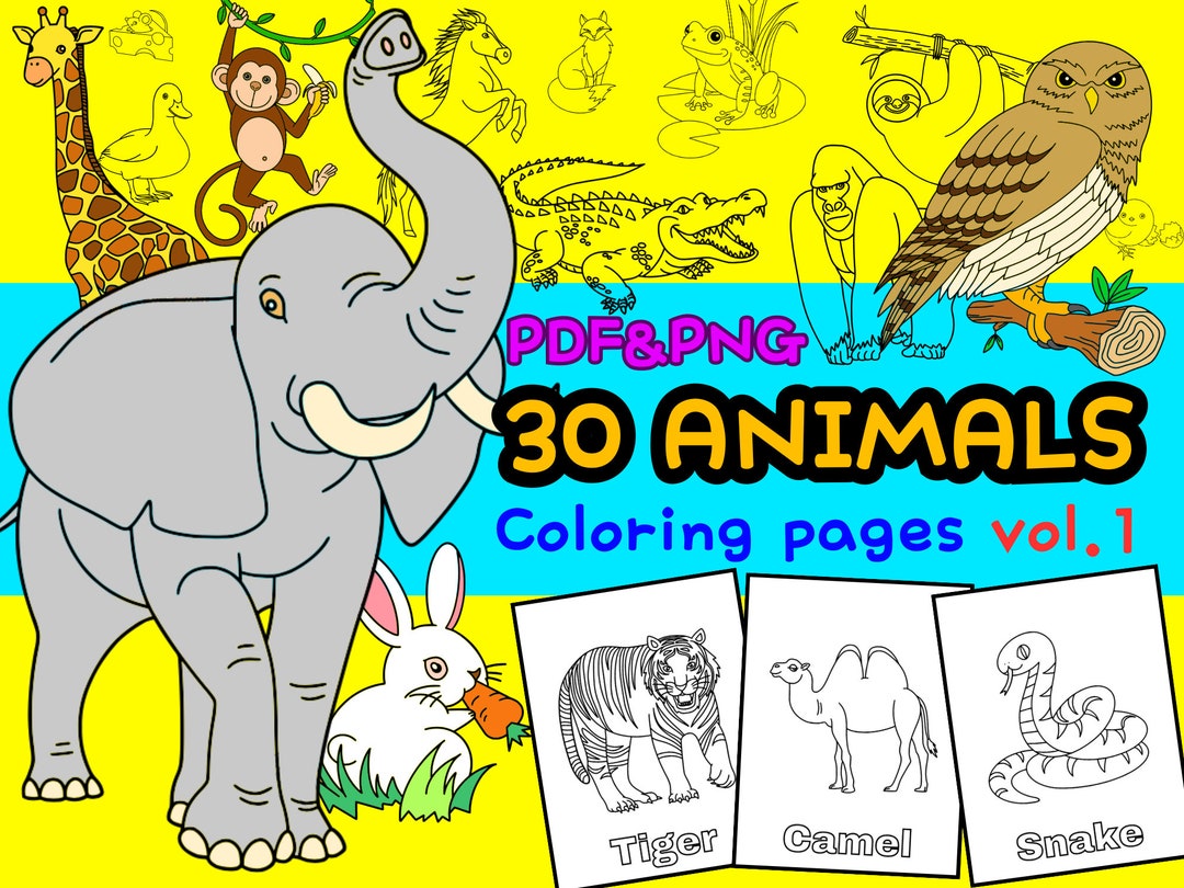 30 Animals Coloring Pages Vol.1 for Kids/toddlers/preschools(english ...