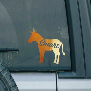 Custom Smart Ass Decal, Mirror Chrome Outdoor Decal, Smart Ass, Smart ...