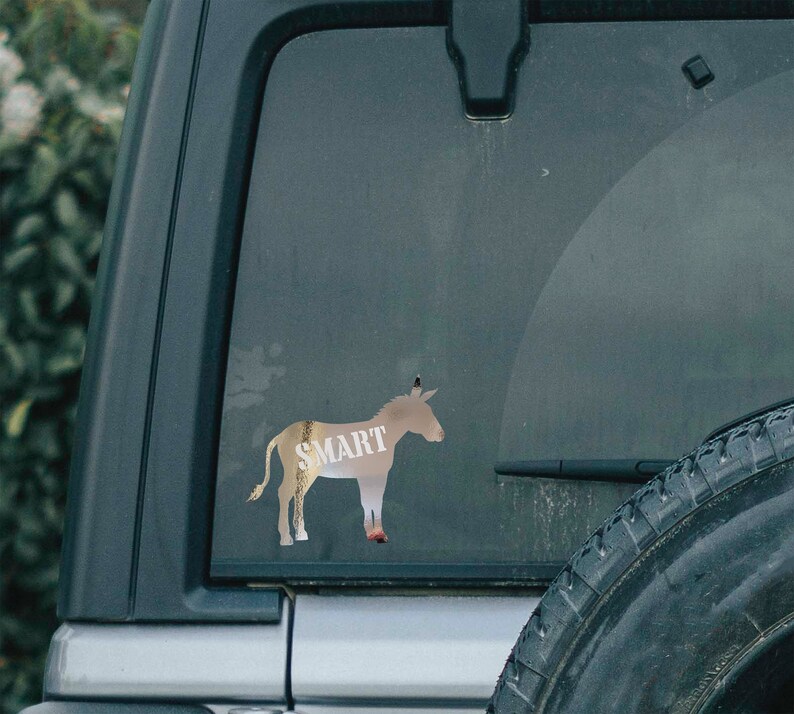 Custom Smart Ass Decal Mirror Chrome Outdoor Decal Smart - Etsy