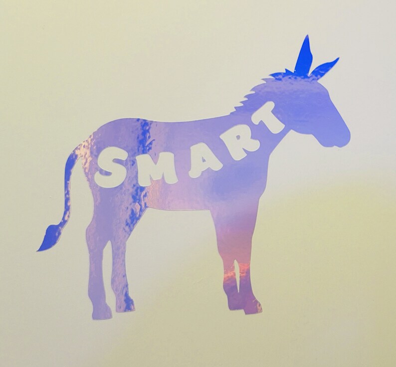 Custom Smart Ass Decal Mirror Chrome Outdoor Decal Smart - Etsy