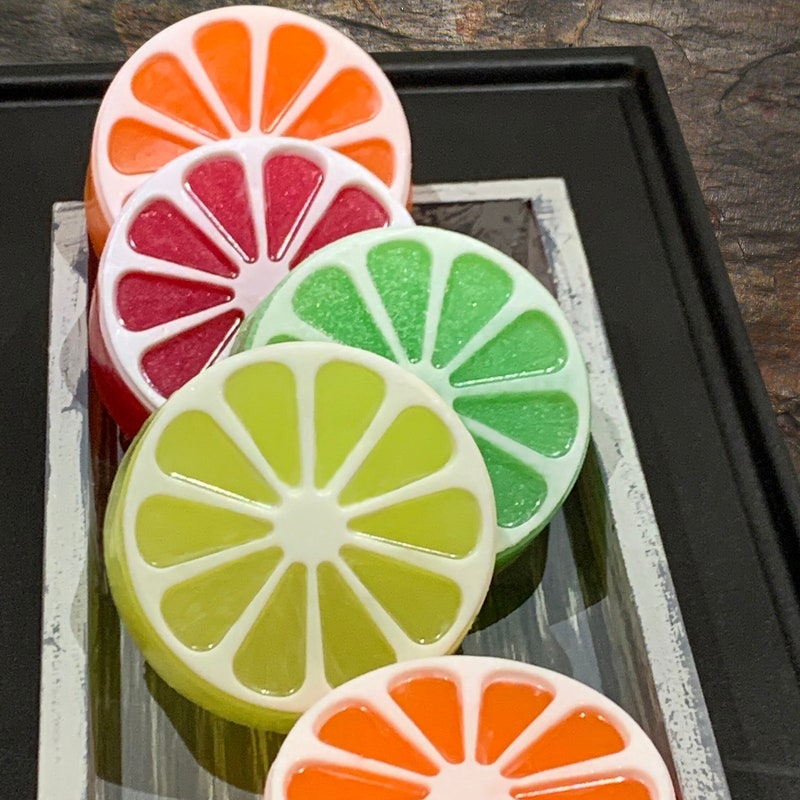 Citrus Slices - Etsy