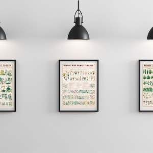 Plant Anatomy Botanical Posters Set of 3 | Botanical Wall Chart ...