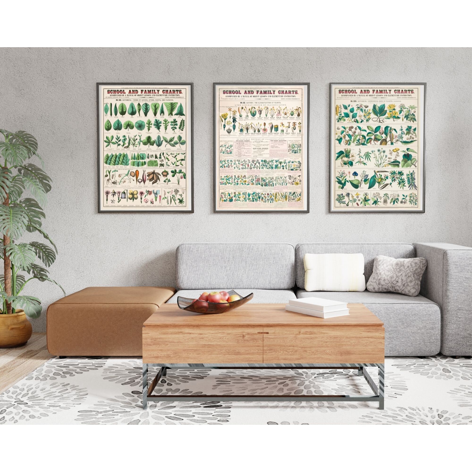 Plant Anatomy Botanical Poster | Educational Poster | Botany Print ...