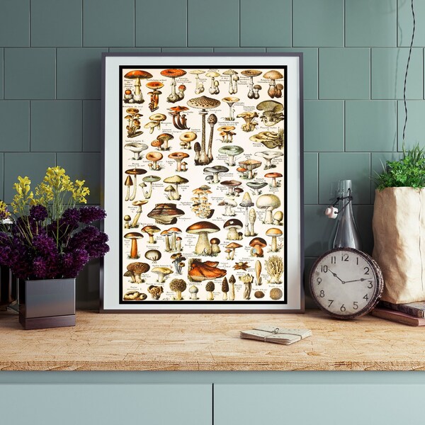 Mushroom Poster - Etsy