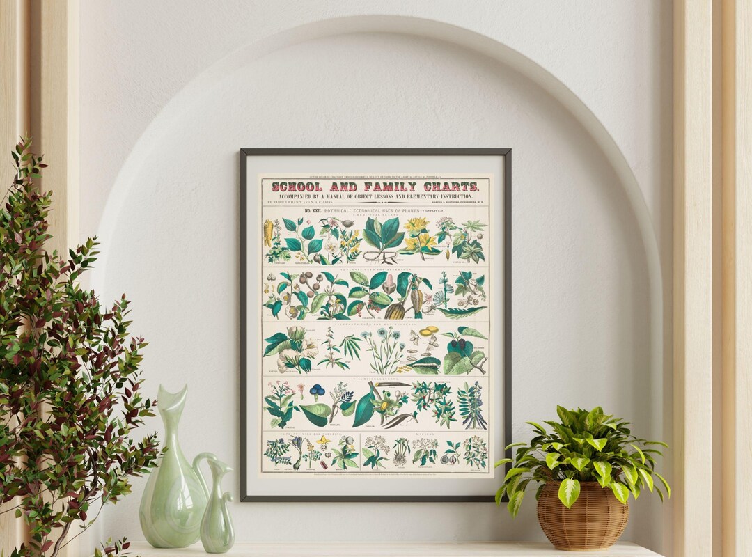 Uses of Plants Poster | Importance of Plants Poster | Vintage Botanical ...