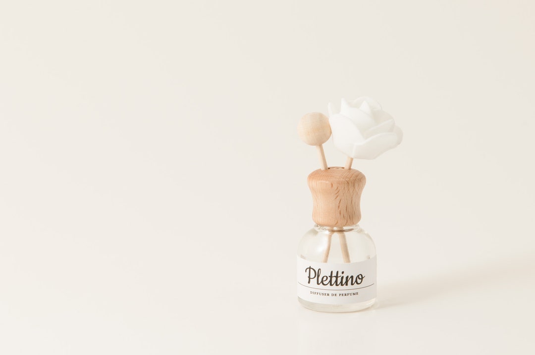 Mini Rose Diffuser/car Diffuser/vent Clip Diffuser/ Car Perfume/car ...