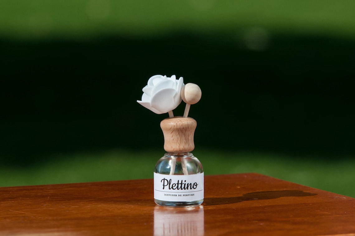 Mini Rose Diffuser/car Diffuser/vent Clip Diffuser/ Car - Etsy