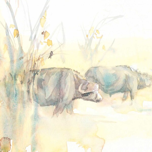 AlisonNichollsArt - Etsy
