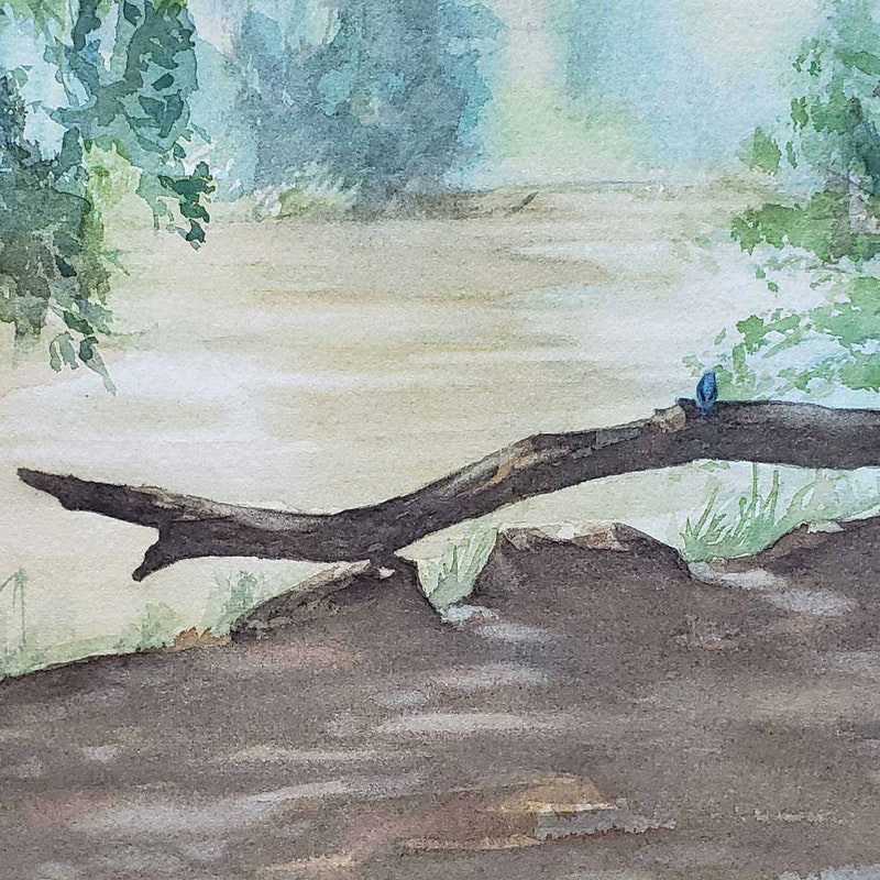 AlisonNichollsArt - Etsy