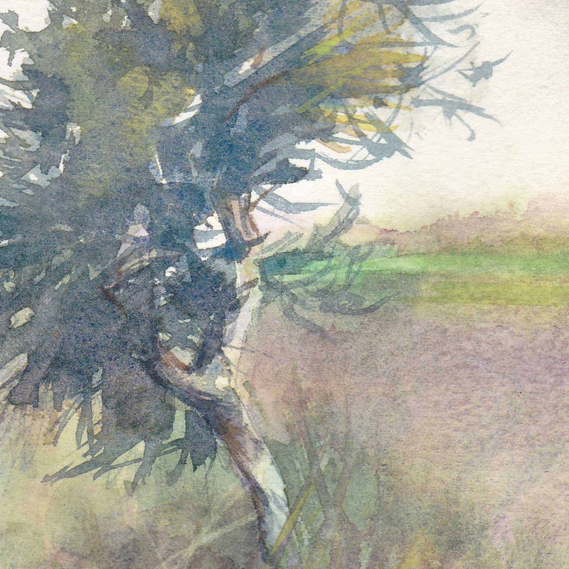 AlisonNichollsArt - Etsy