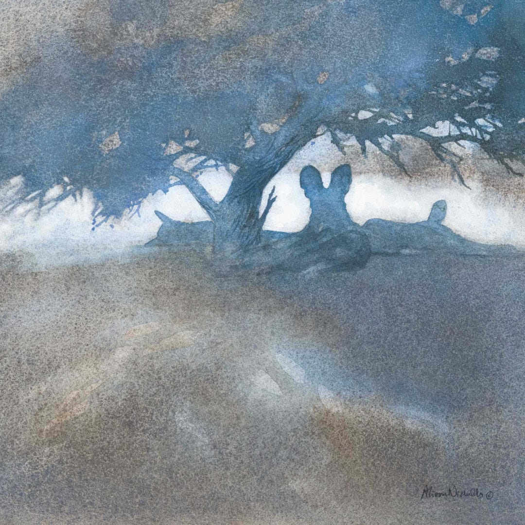 Wild Dog Print on Paper, Limited Edition, African Painted Dog Art ...