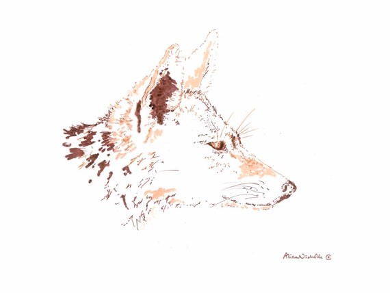 How To Draw A Jackal