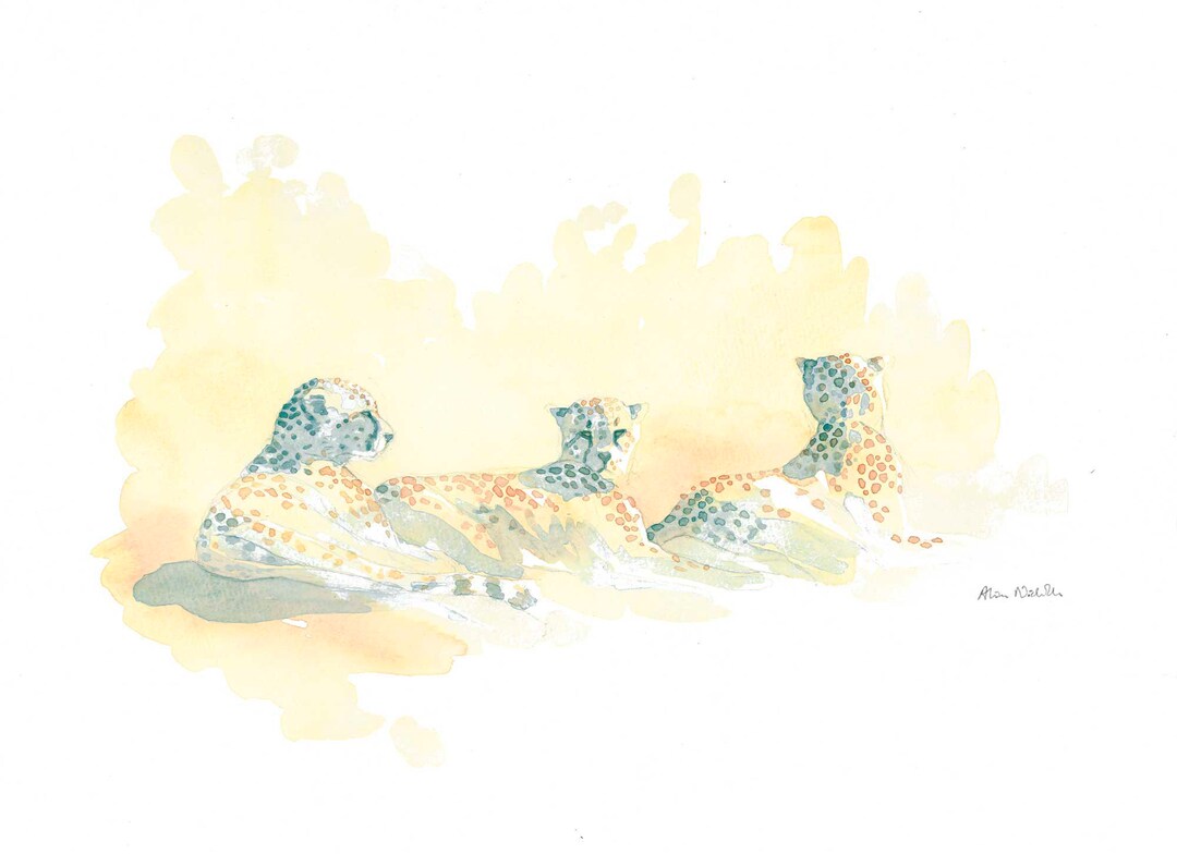 Cheetah Trio, Limited Edition Print, African Wildlife Print, Donation ...
