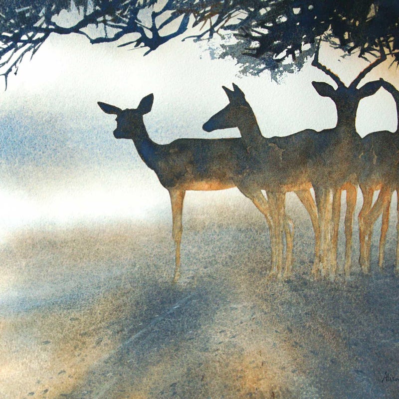AlisonNichollsArt - Etsy