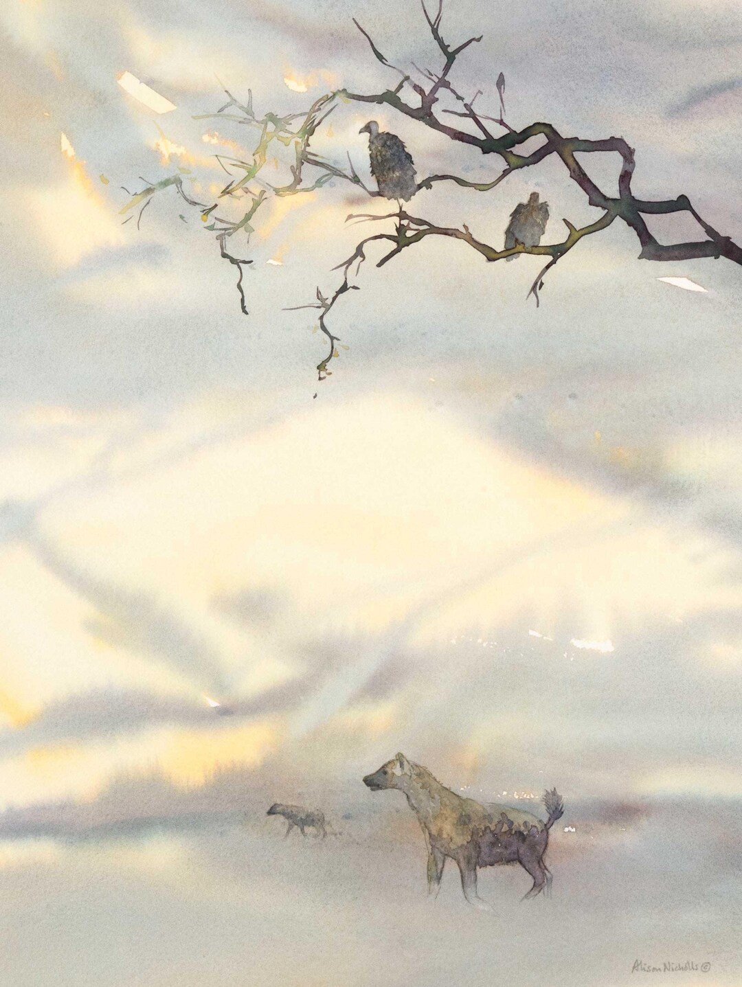 Hyena Vulture Watercolor, Original Painting, Hyaena Art, Conservation ...