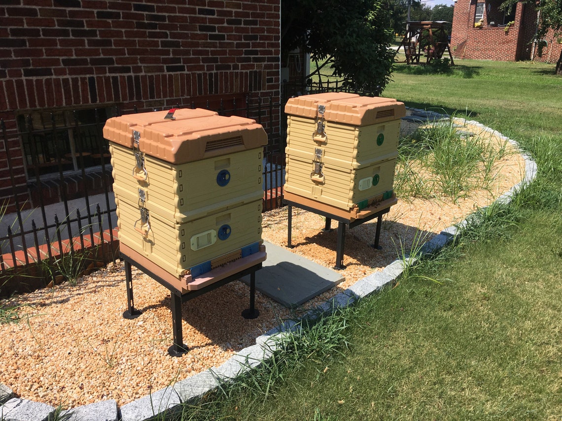 Apimaye/Langstroth/Flow Hive Stand | Etsy