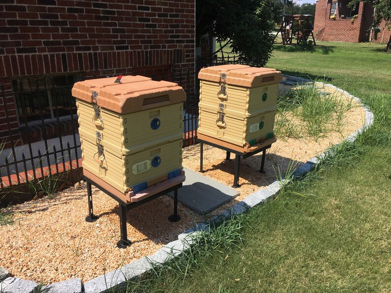 Apimaye/Langstroth/Flow Hive Stand | Etsy