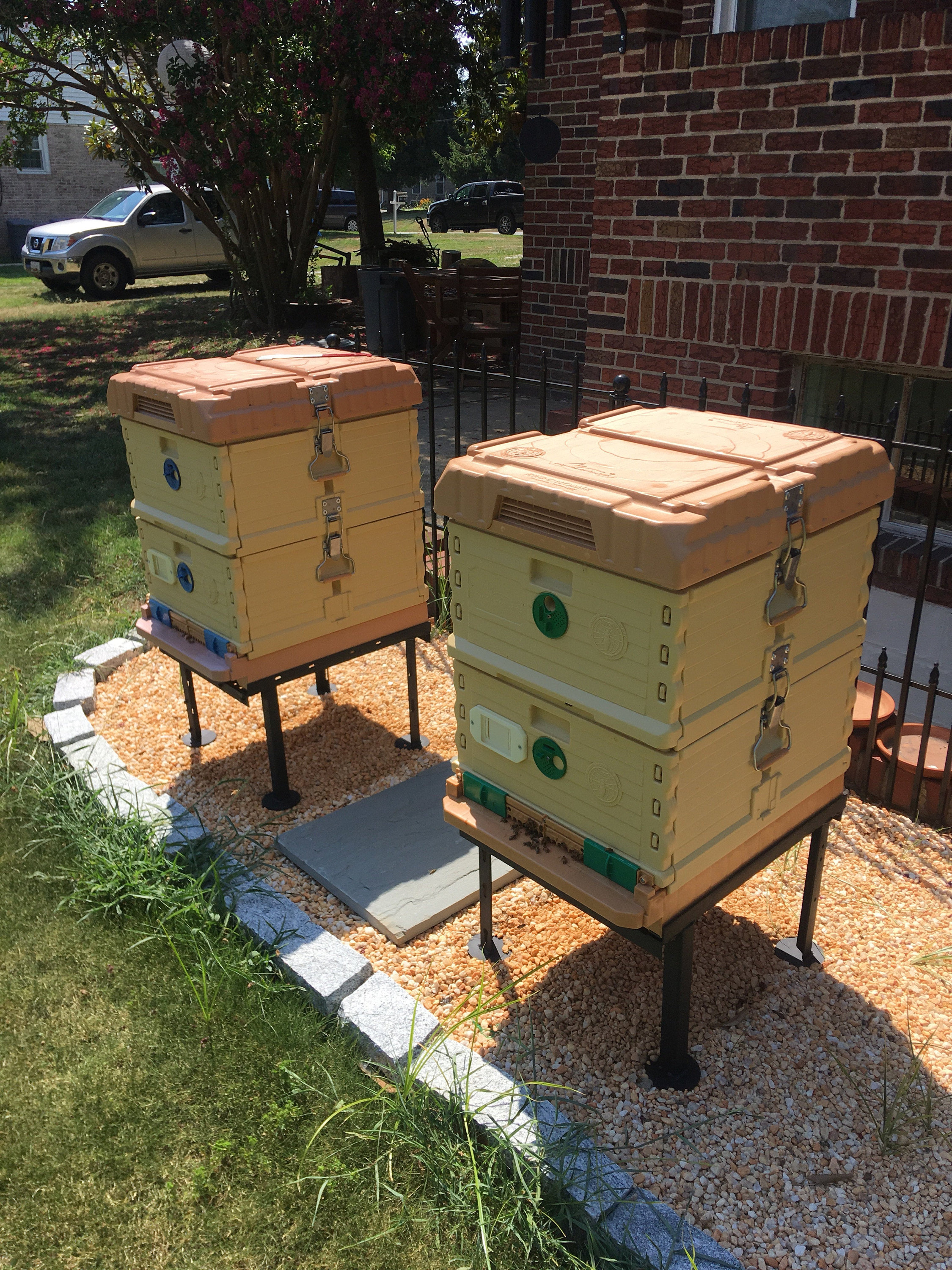 Apimaye Ergo PLUS Hive Stand | Etsy