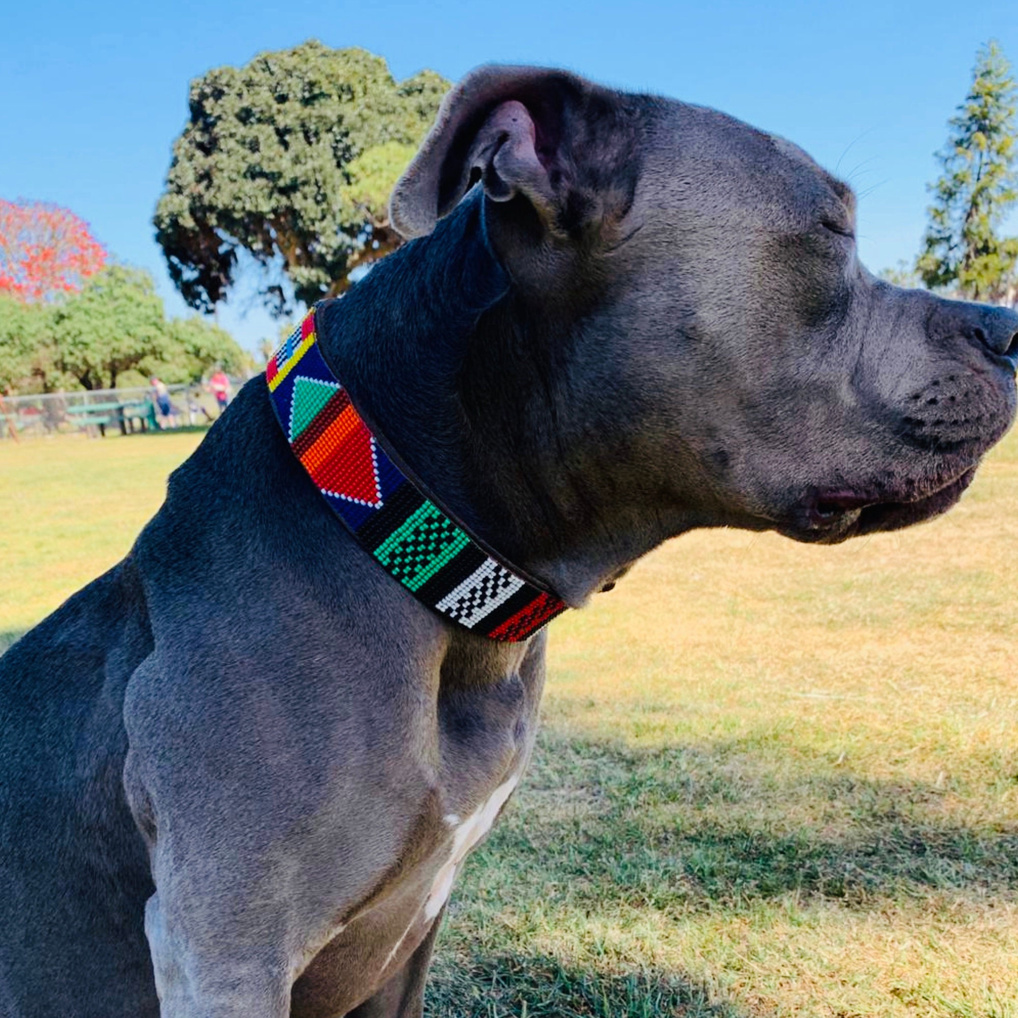 Native Aztec Beaded Dog Collar in Real Leather - Etsy