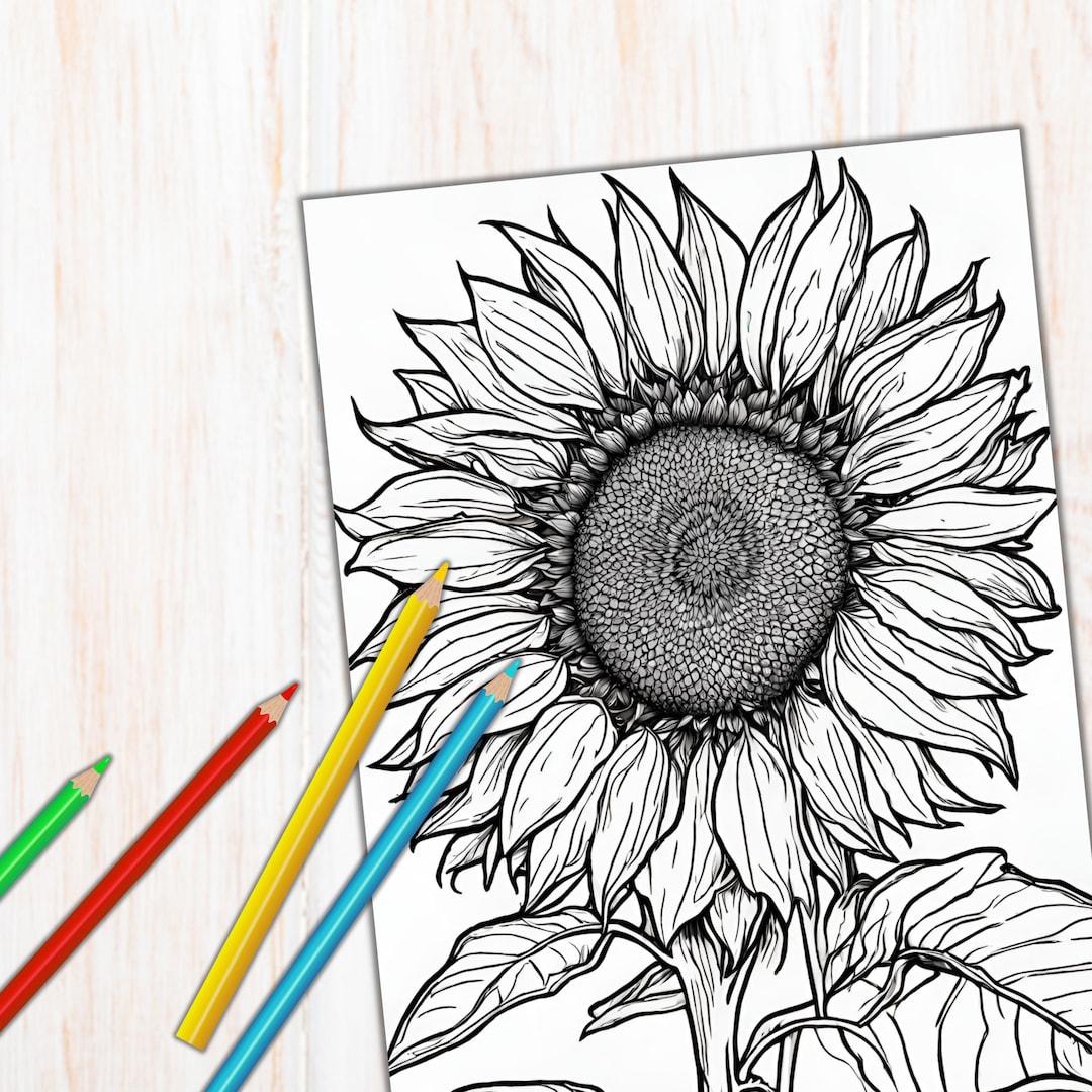 15 Sunflower Mindful Colouring Pages, Adult Colouring, Floral Colouring ...