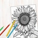 15 Sunflower Mindful Colouring Pages, Adult Colouring, Floral Colouring ...