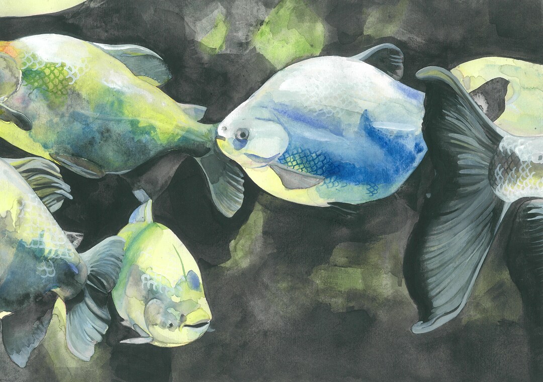 Digital Download Fish - Etsy