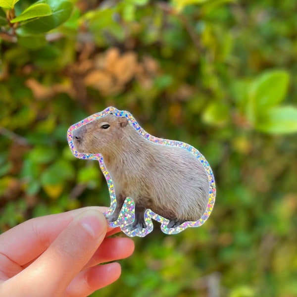 Capybara Stickers - Etsy