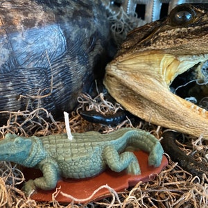 Alligator Candle + New Orleans Voodoo + Hoodoo + Conjure + Crocodile - Etsy