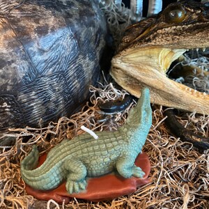 Alligator Candle + New Orleans Voodoo + Hoodoo + Conjure + Crocodile - Etsy