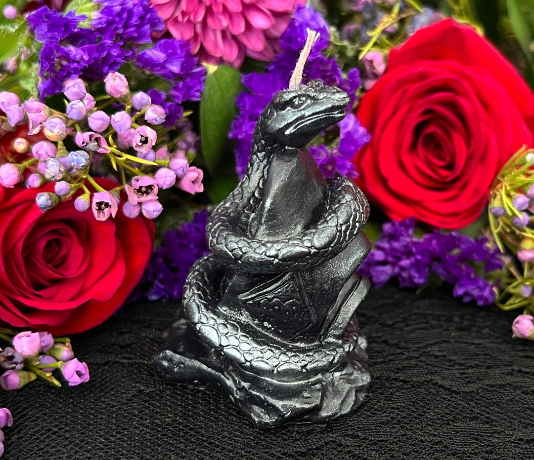 Snake & Genie Bottle Candle + Hex + Curse + Take Away Luck + Bind an ...