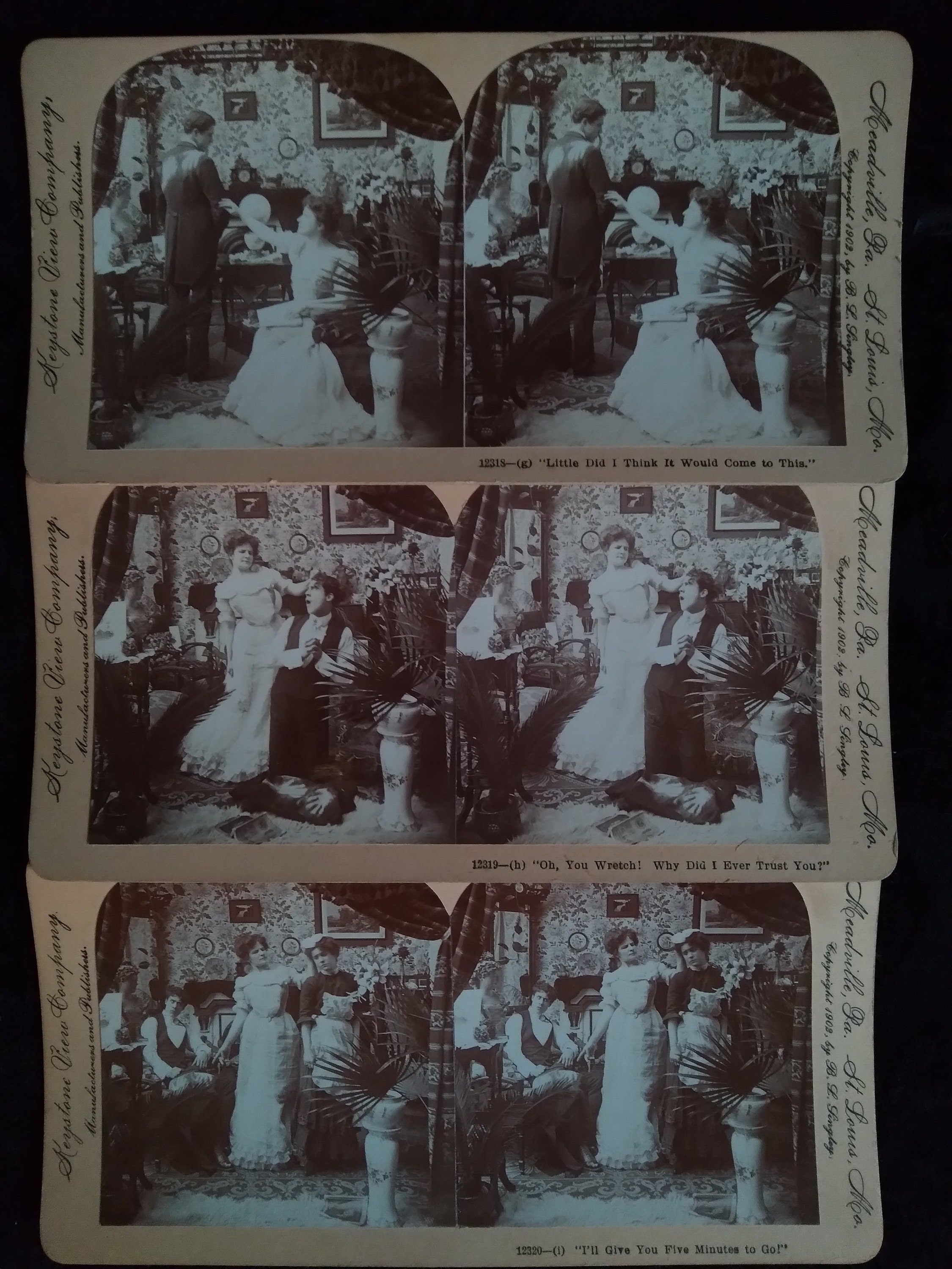 12 Humorous Antique Stereoscope Photo Cards / French Cook - Etsy
