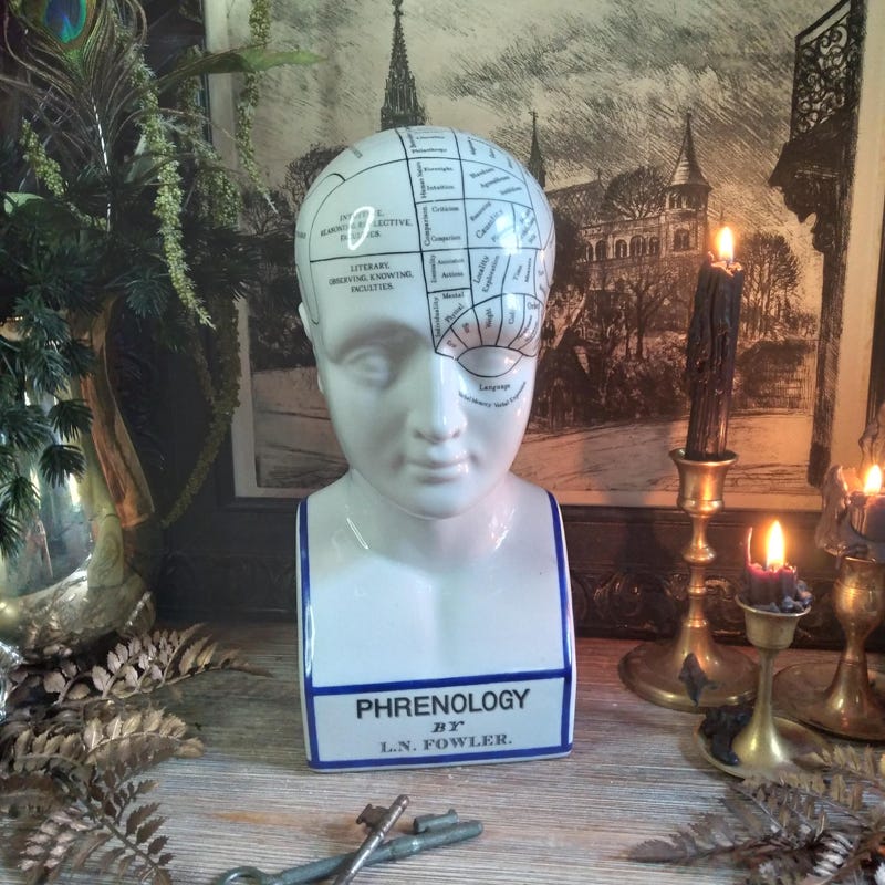 Medical Oddities - Etsy