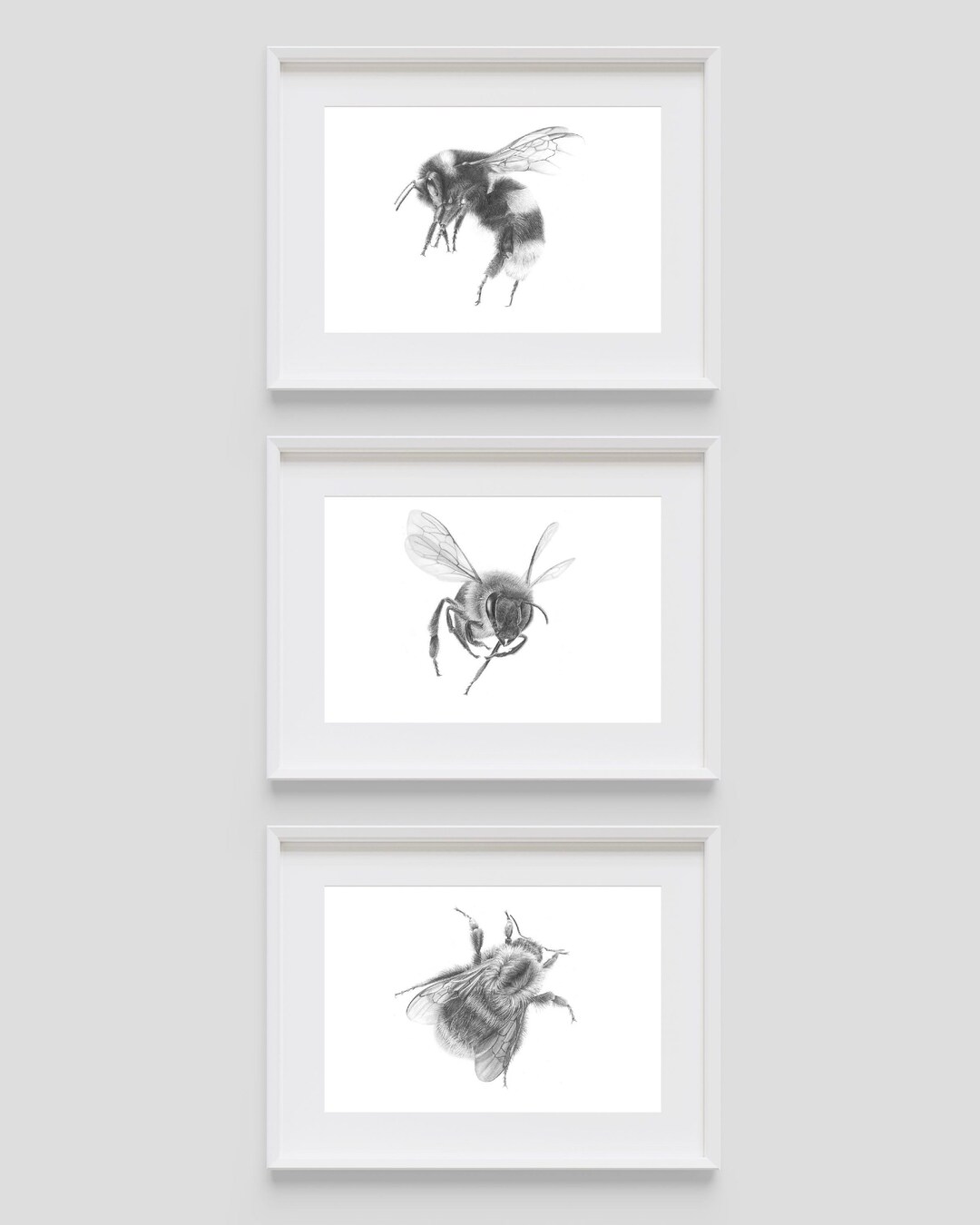 Bee Prints New Home Art Gift Monochrome Bees Bee Decor Bee - Etsy