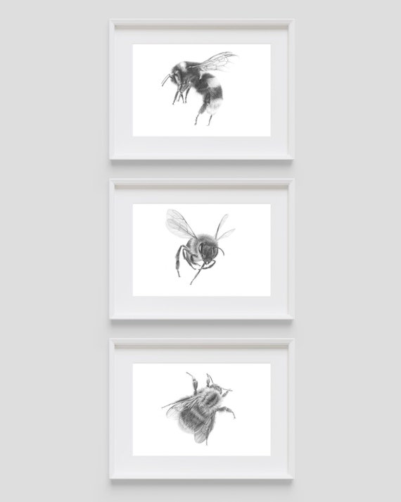 Bee Prints New Home Art Gift Monochrome Bees Bee Decor Bee - Etsy