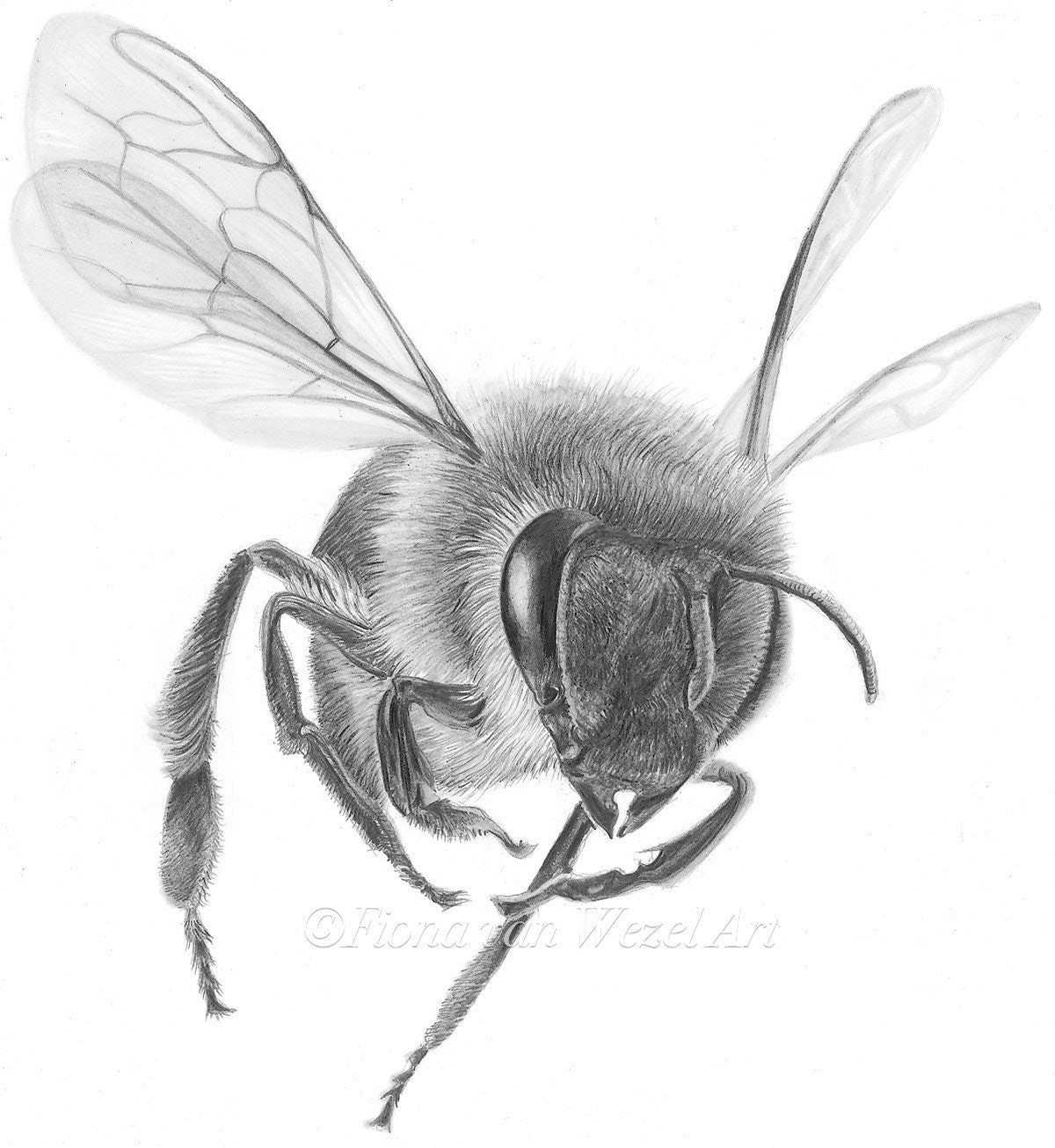 Bee Prints New Home Art Gift Monochrome Bees Bee Decor Bee - Etsy