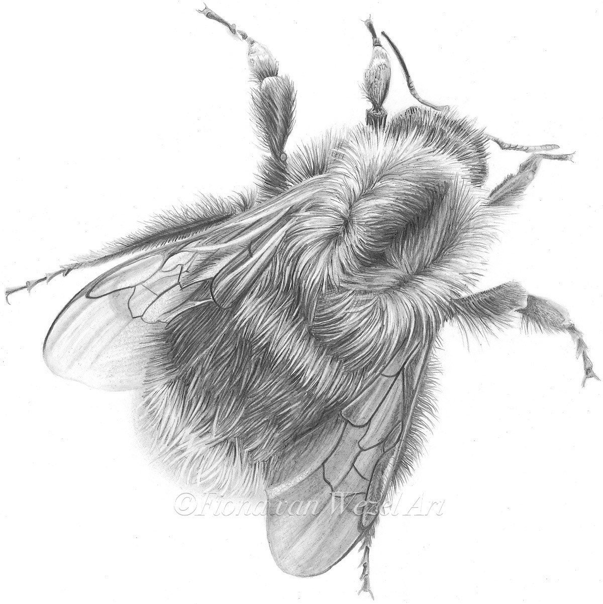 Bee Prints New Home Art Gift Monochrome Bees Bee Decor Bee - Etsy