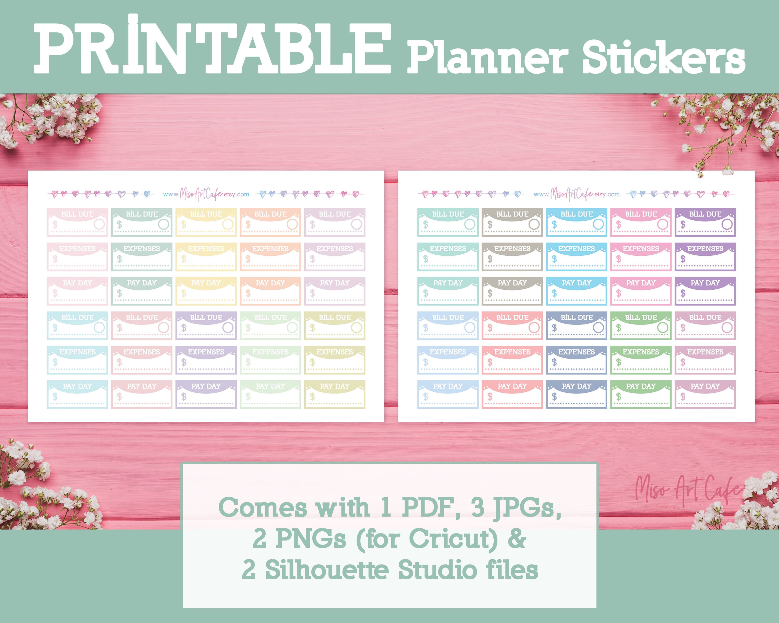 Expense & Income Tracker Budget Printable Planner Stickers | Etsy